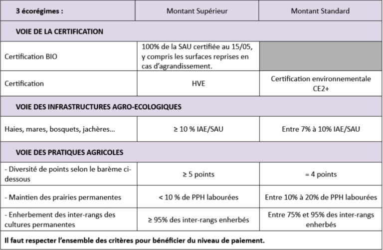 PAC 2025 : Anticipez votre déclaration et optimisez vos aides