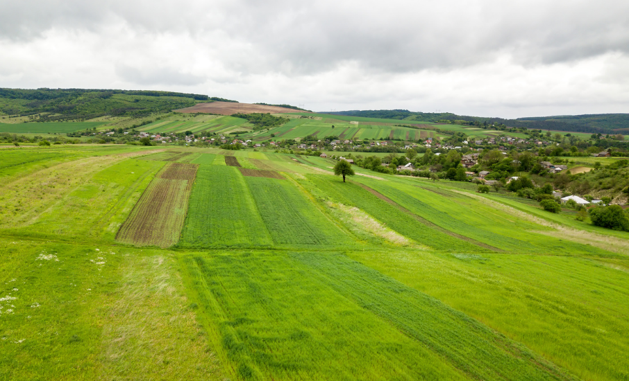 Zones France Ruralités Revitalisation Plus